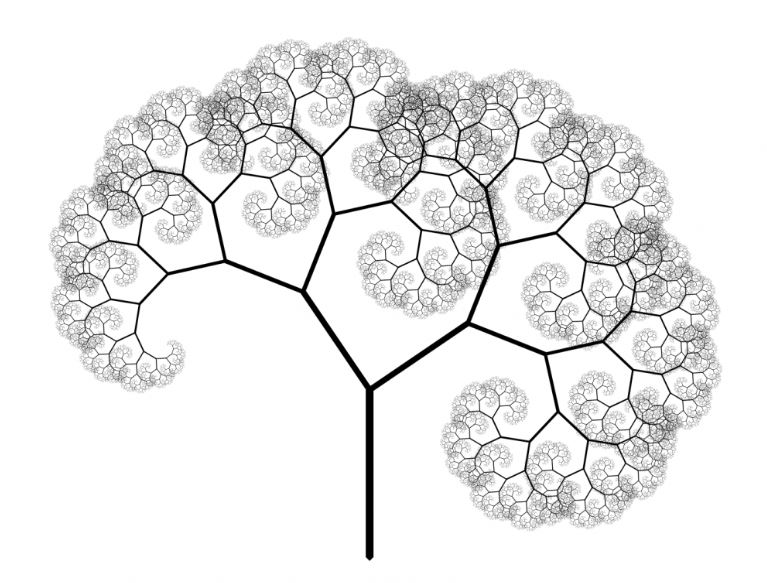 Fractals – Kerim Baran